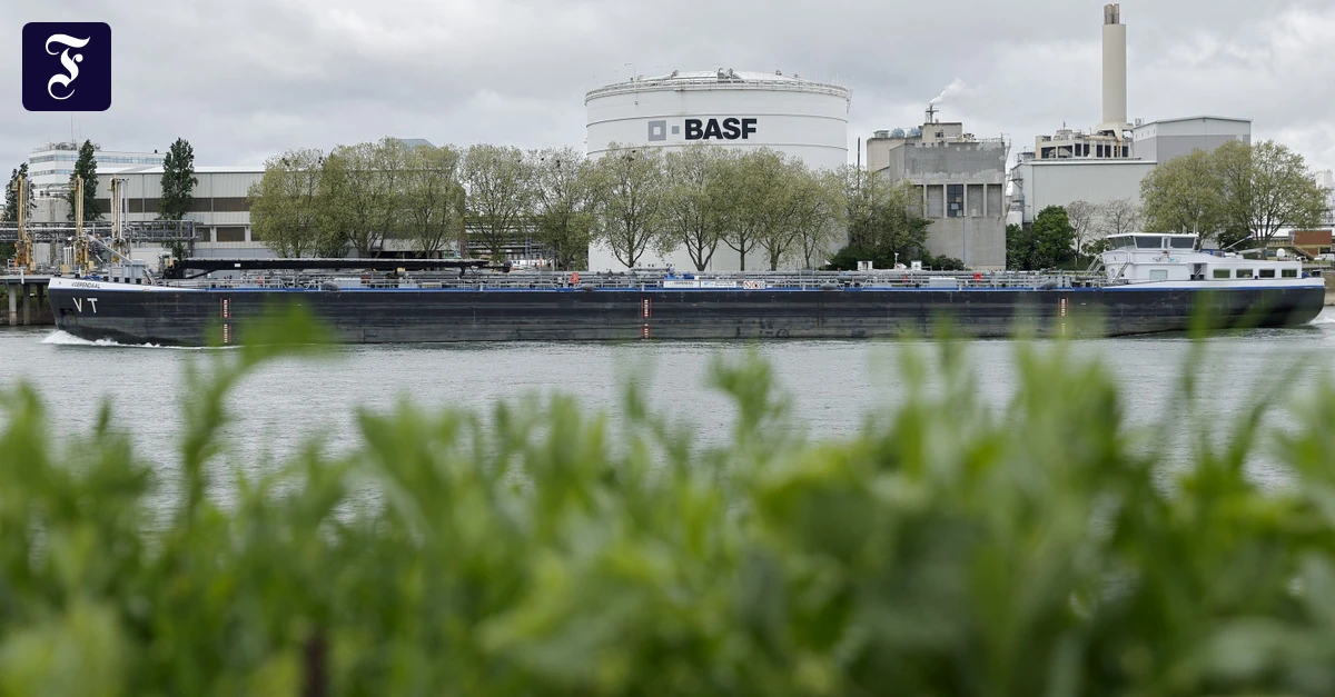 BASF: Martin Brudermüller gibt Chef-Position an Markus Kamieth ab | FAZ