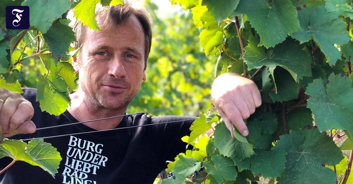 Wein aus Schweigen: Das Weingut „Bernhart“ | FAZ