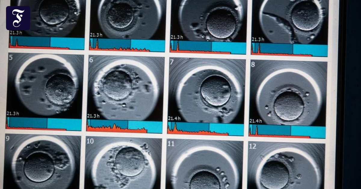 Synthetische Embryonen aus dem Labor | FAZ