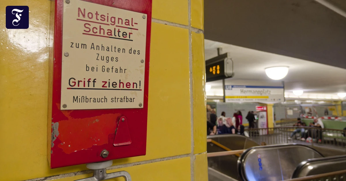 Filiz Penzkofers Jugendroman „Alles im Grünen“ | FAZ