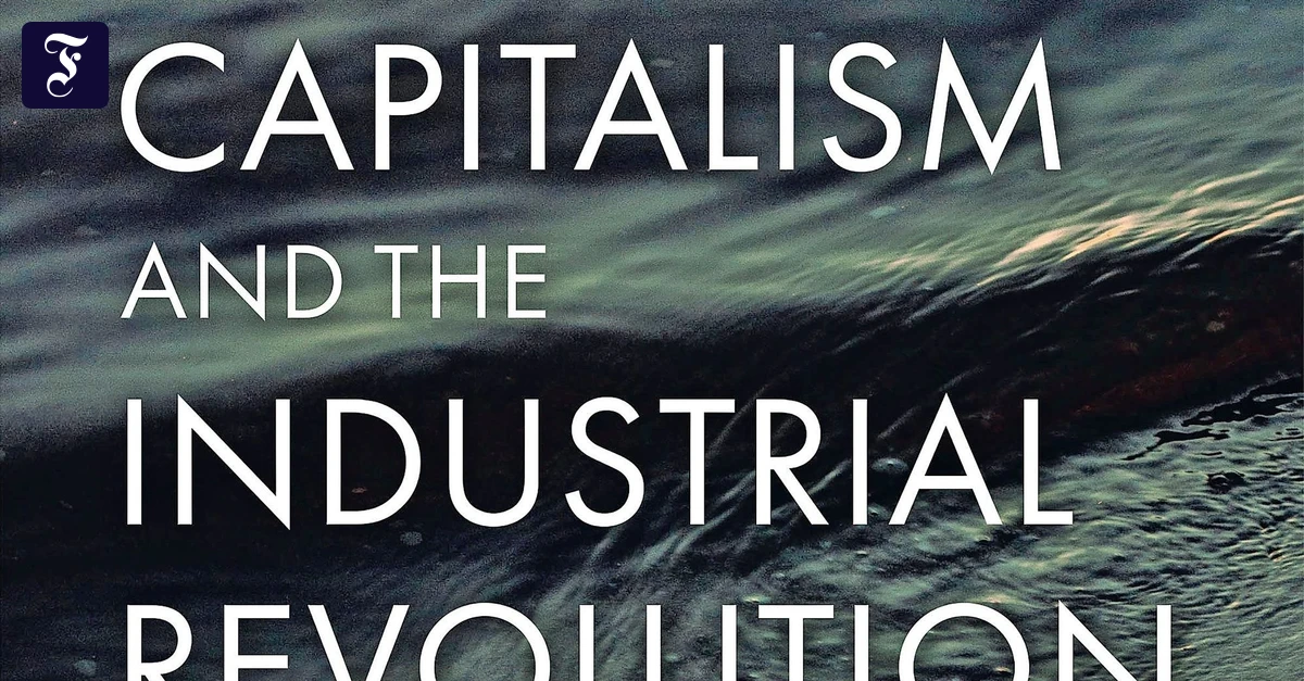 Maxine Bergs und Pat Hudsons Buch „Slavery, Capitalism and the ...