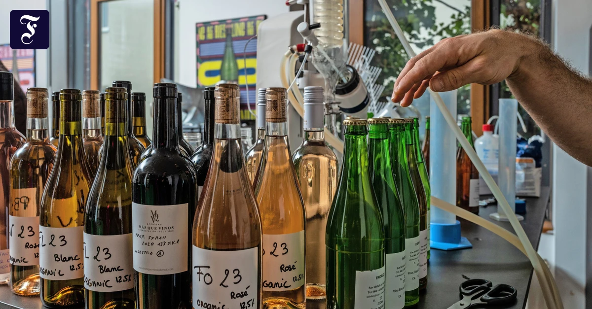 Alkoholfreier Wein: Für Winzer ist das Geschäft eine große Chance | FAZ
