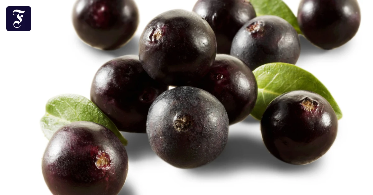 Açaí-Beere erobert den Weltmarkt: Ist der Hype um die Beere ...