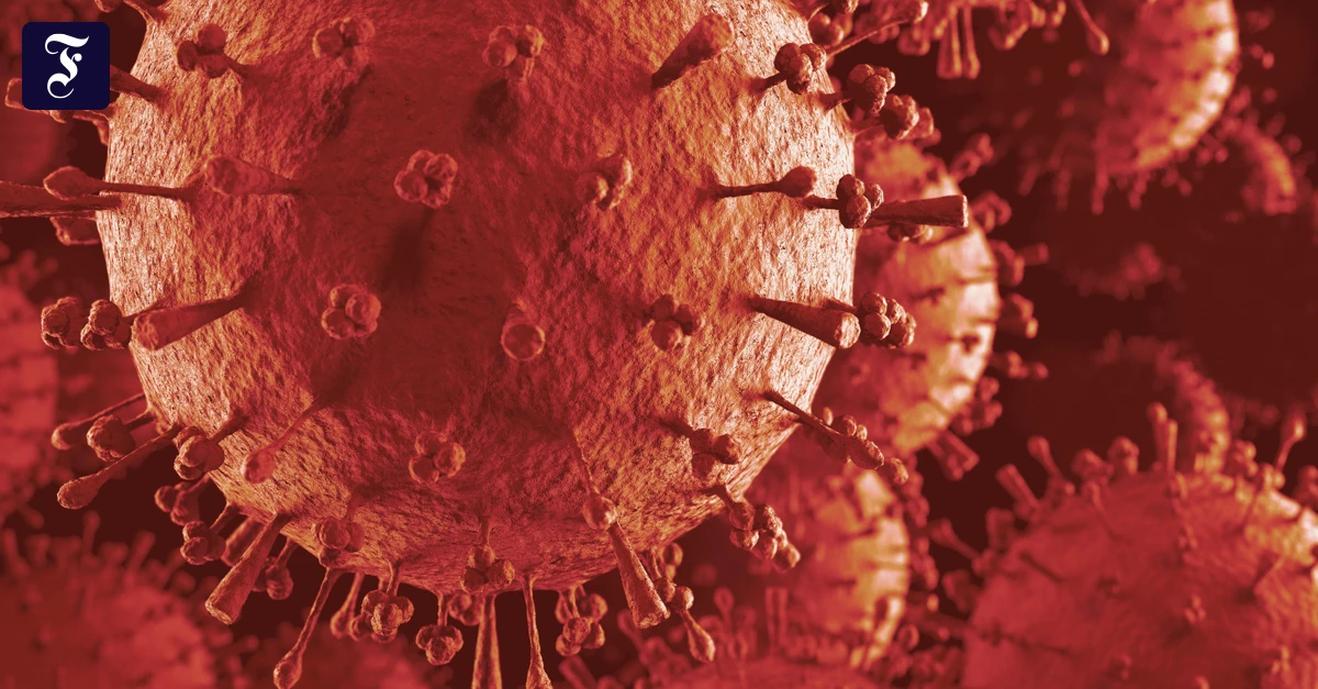 Wie Grippeviren das Immunsystem schwächen: JLU-Studie | FAZ