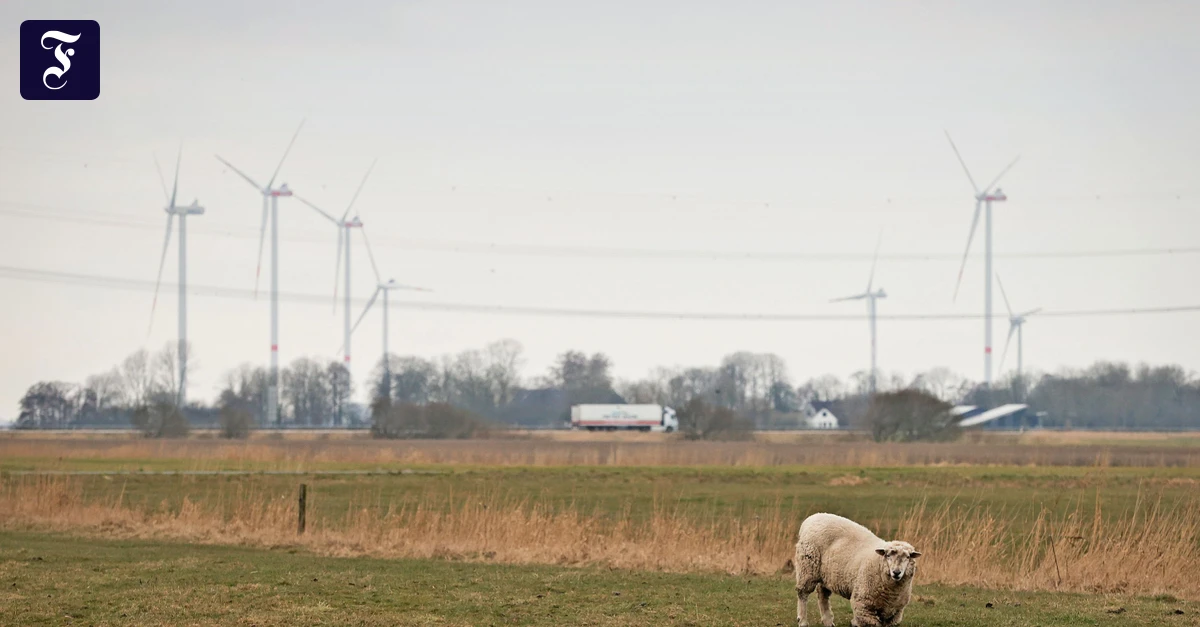 Staat wird zum Investor: 600 Millionen Euro für Northvolt | FAZ
