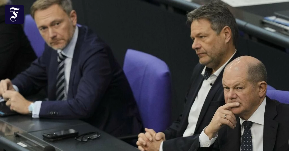 Das Paper von FDP-Chef Lindner: Die Ampel in der Krise | FAZ