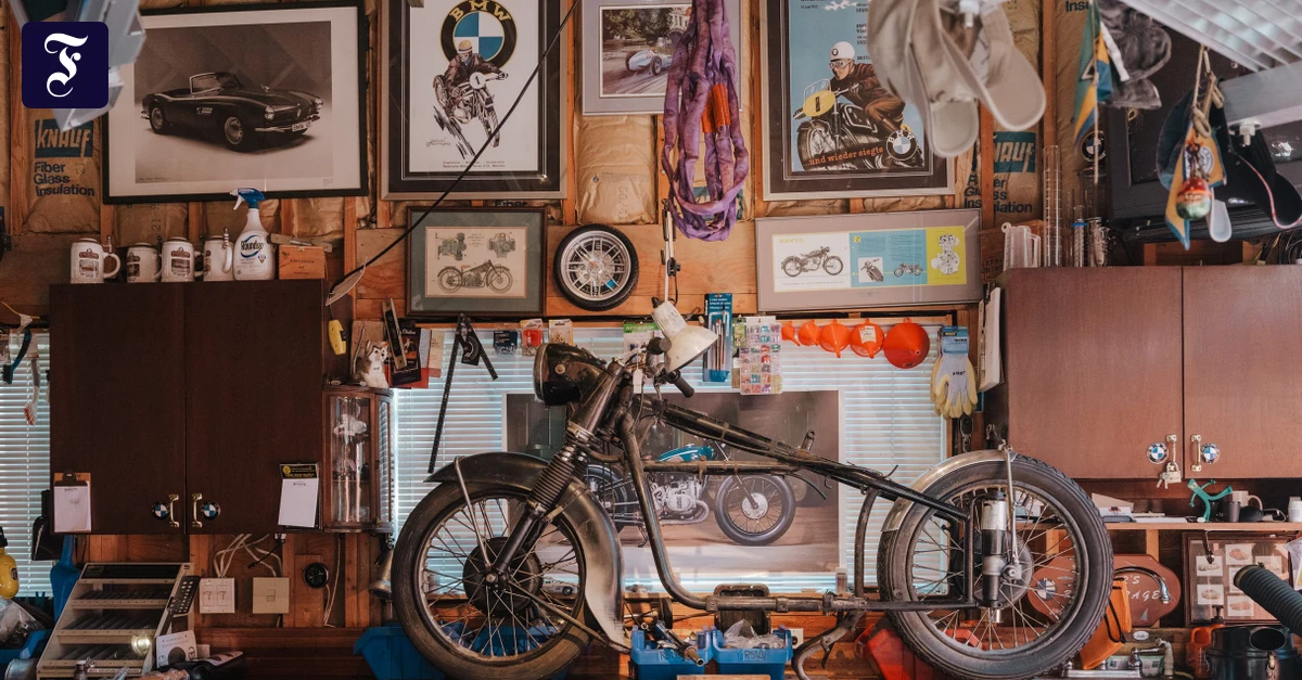 Oldtimer: Die wertvolle Sammlung von Peter Nettesheim | FAZ