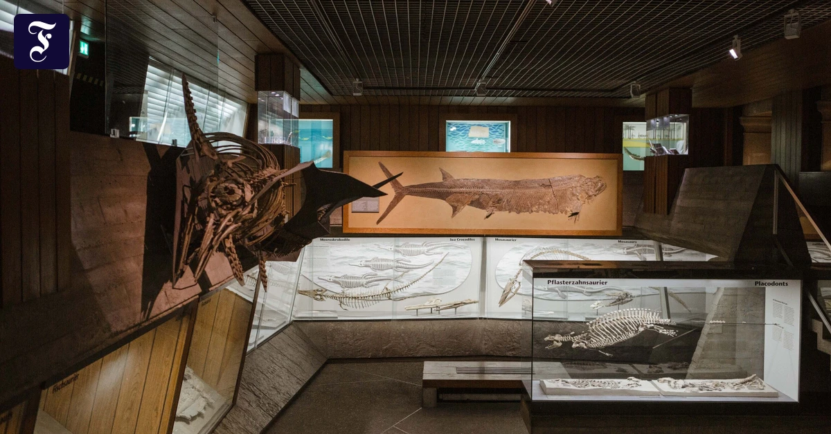 Definition des Museums: Was Besucher in Museen suchen | FAZ
