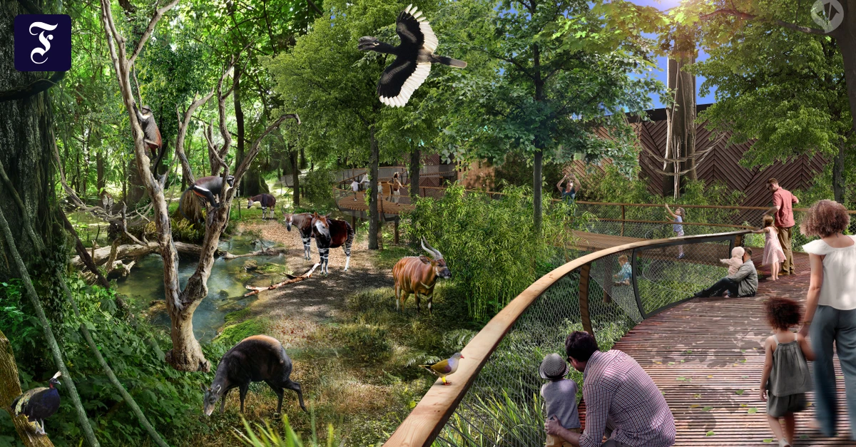 Zoo Frankfurt: Neue Serengeti-Anlage wird geplant | FAZ