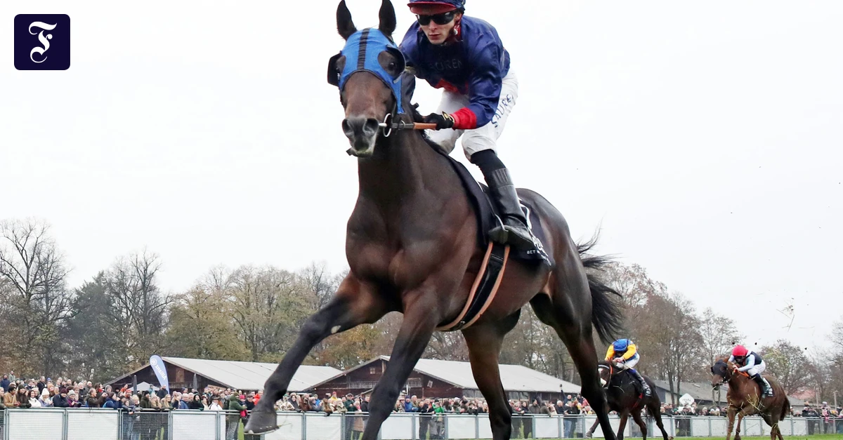 Galoppsport: Warum Thore Hammer-Hansen Deutschlands bester Jockey ist | FAZ