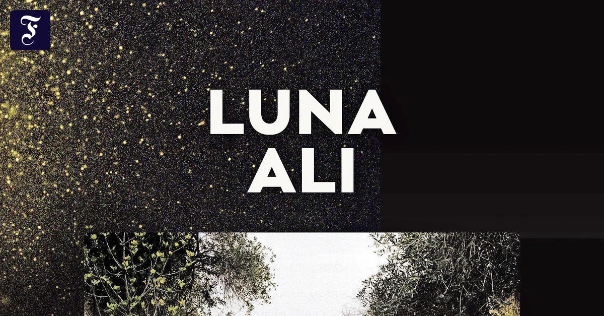 Rezension von Luna Alis Roman „Da waren Tage“ | FAZ