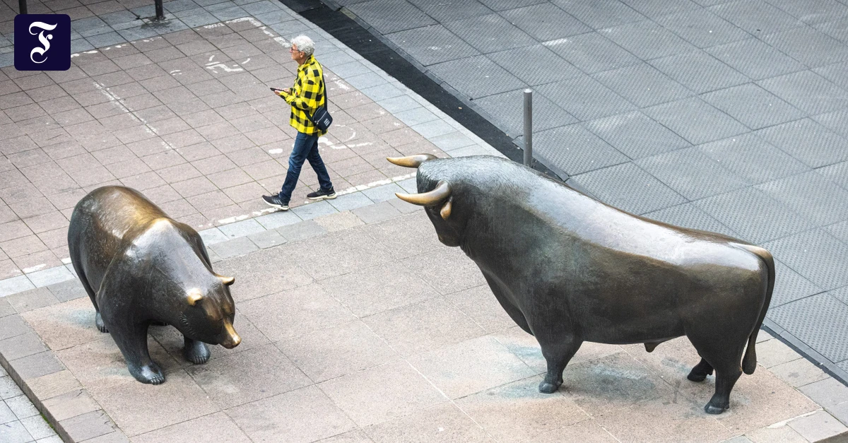 ETFs für Anleger: Die Chancen und Risiken der Indexfonds | FAZ