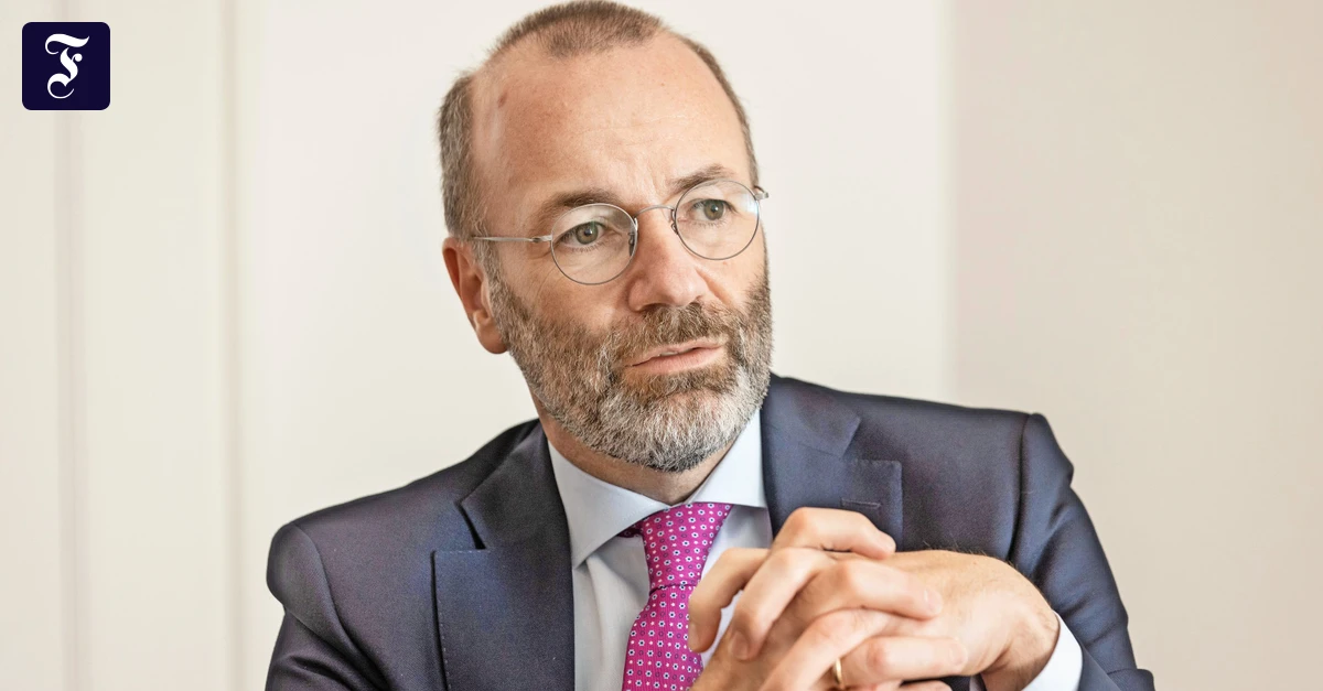 EVP-Chef Weber über Zolldeal: USA am längeren Hebel | FAZ