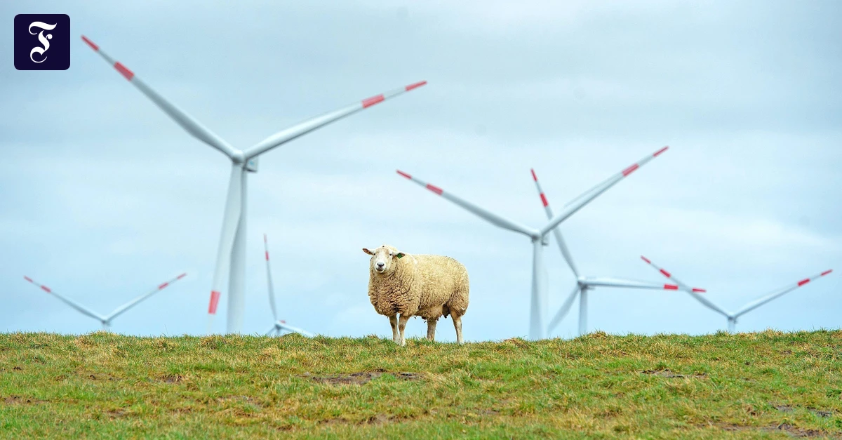 Der deutsche Strommarkt braucht lokale Preise | FAZ