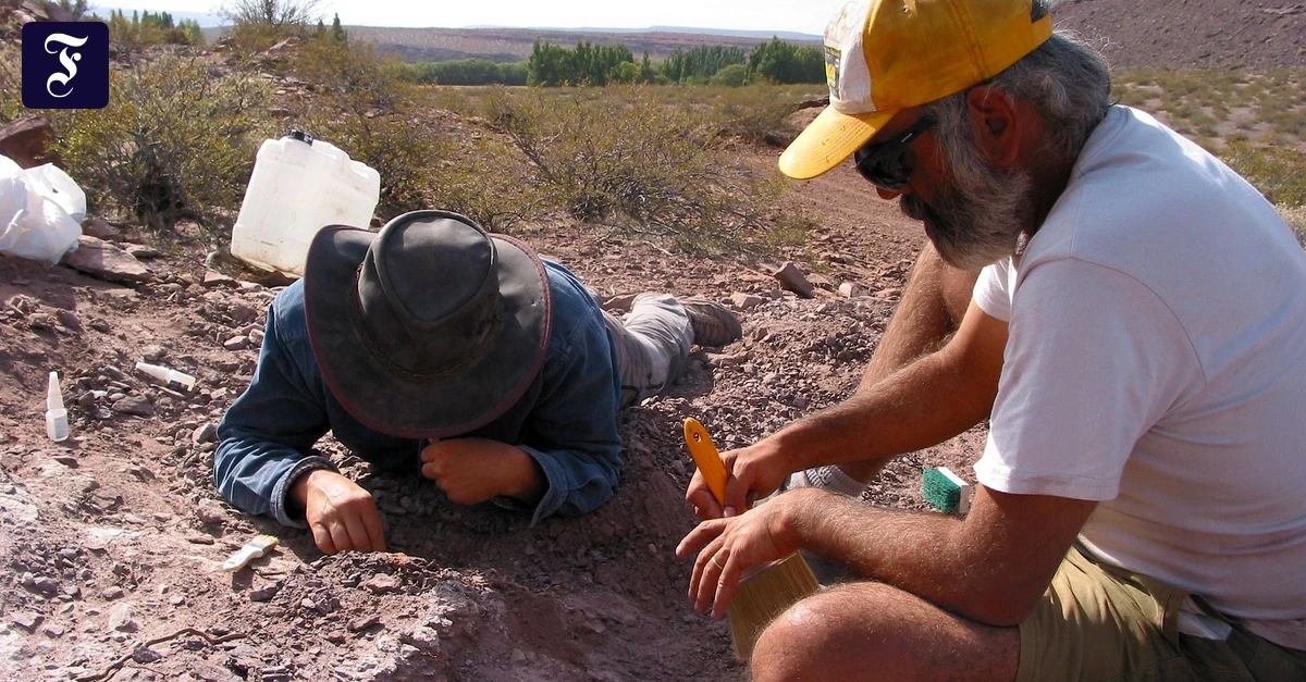 Lavocatisaurus: Neuer Dinosaurier entdeckt | FAZ