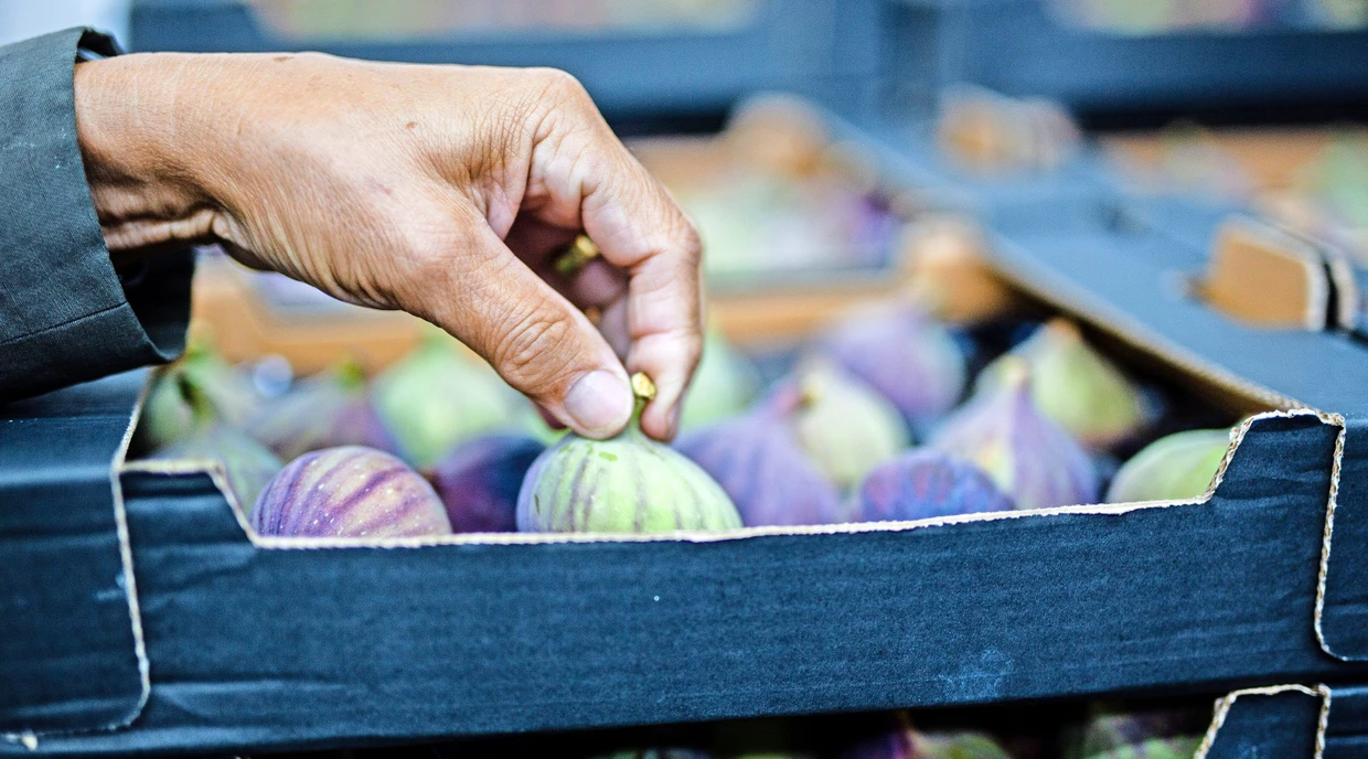 Saisonale Frucht: Was man mit Feigen in der Küche alles zubereiten kann ...