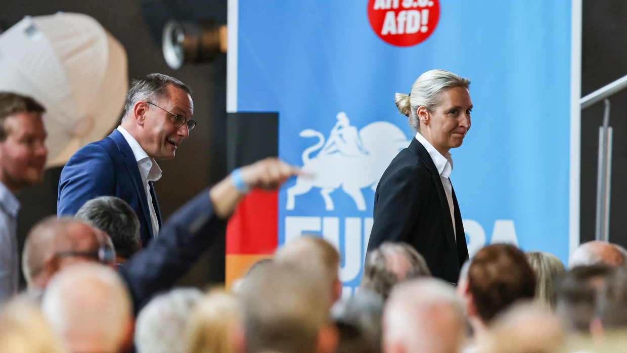 Das Europa der AfD: Rückkehr zu Konflikten und Rivalitäten | FAZ