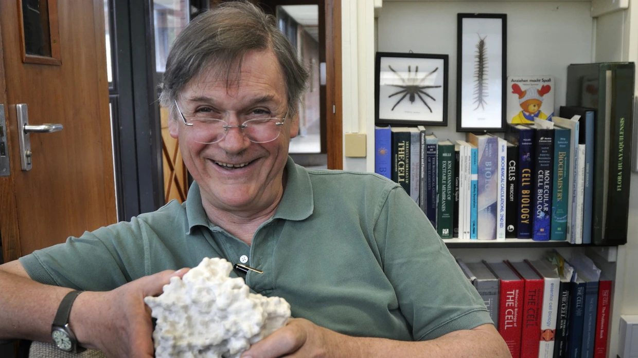 80. Geburtstag des Nobelpreisträgers Tim Hunt: Entdeckung und Eklat | FAZ