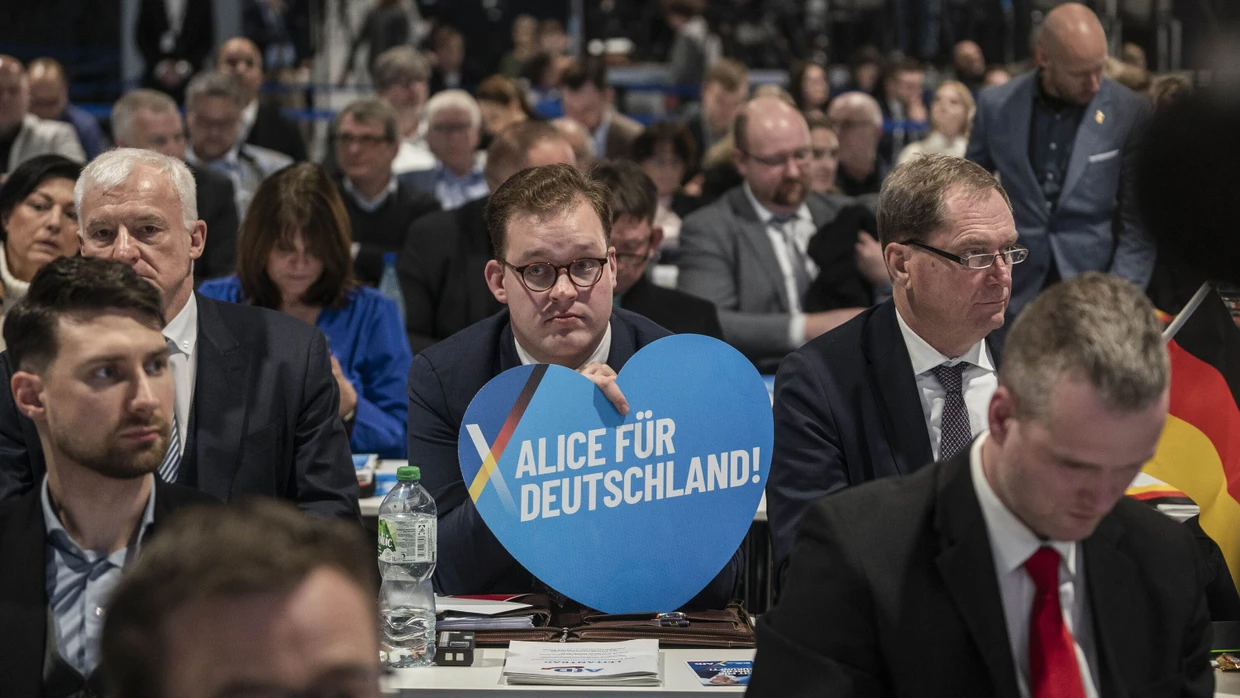 AfD schärft ihr „Dexit“-Szenario | FAZ