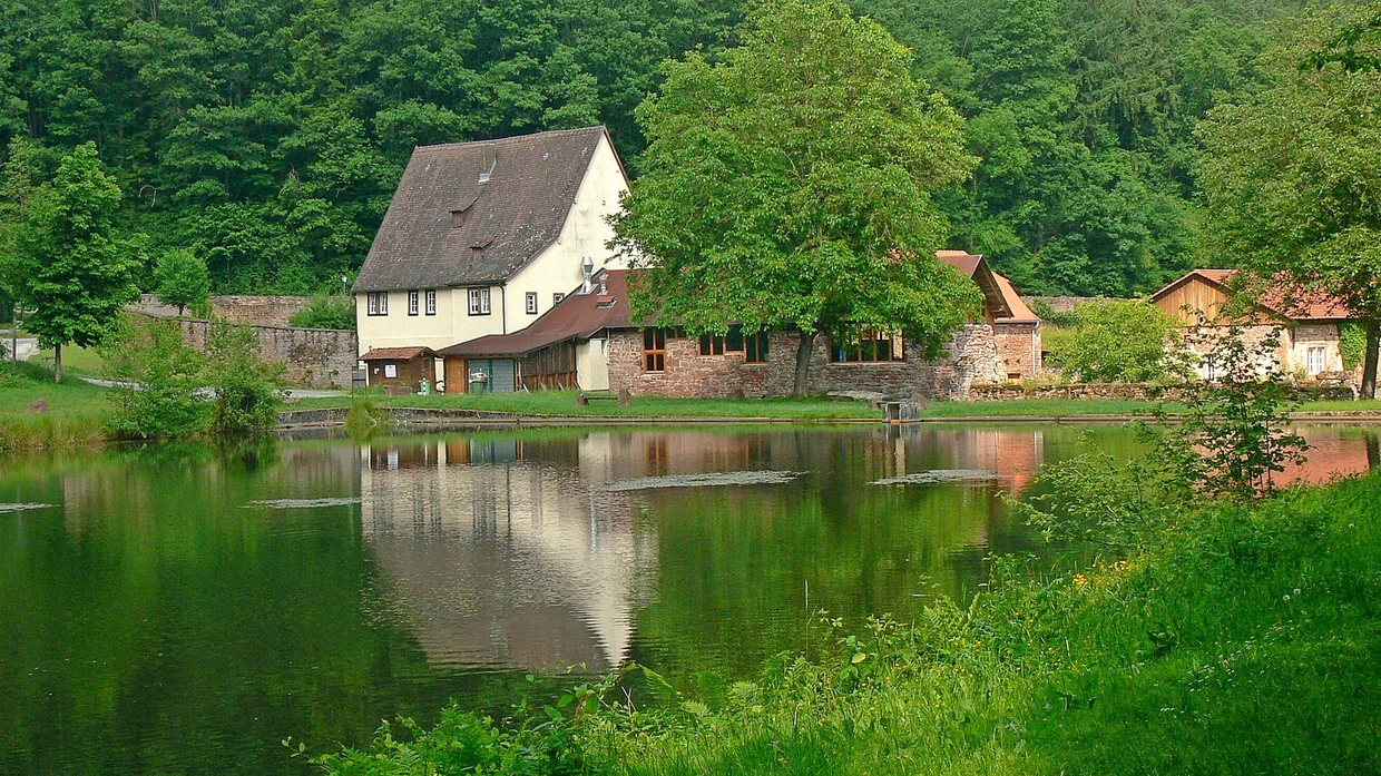 Der Wandertipp führt zu einer Klosterruine nach Faulbach | FAZ