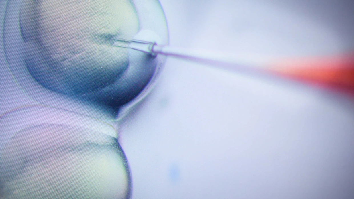 Liberalere Biopolitik? Eine Radikalkur für den Embryonenschutz | FAZ