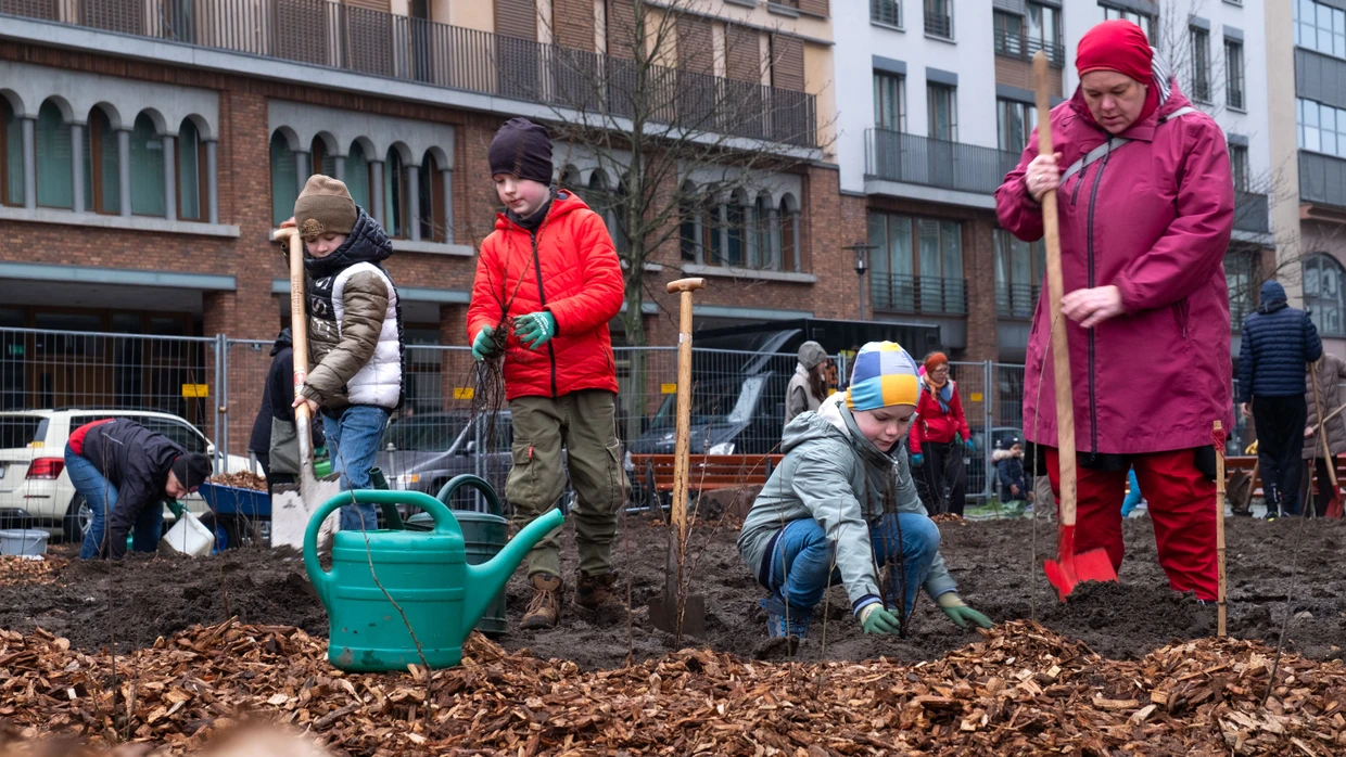 Frankfurt: Miniwälder für ein kühleres Stadtklima. | FAZ