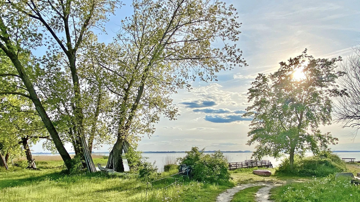 Zu Besuch im Lieper Winkel auf Usedom: Der Ruhepol der Insel | FAZ