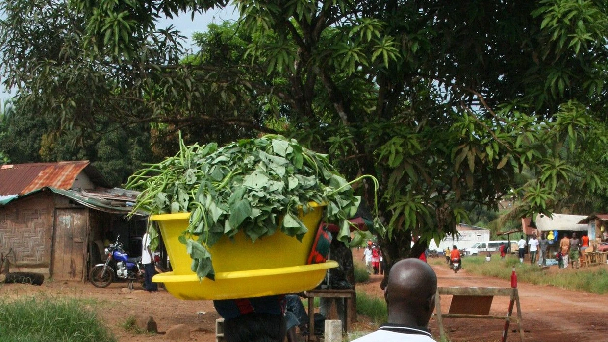 Monrovia in Liberia: Ackern in der Metropole | FAZ