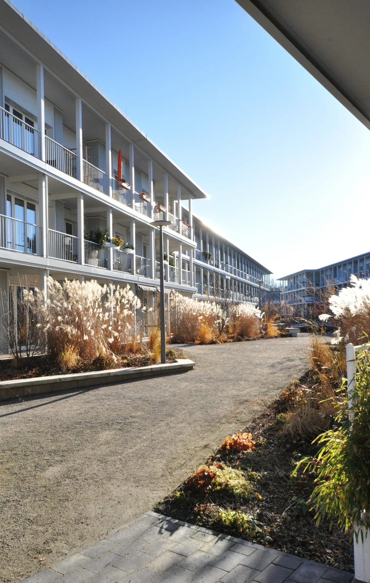 Vorbildliches Mehrgenerationen-Wohnensemble in Erfurt | FAZ