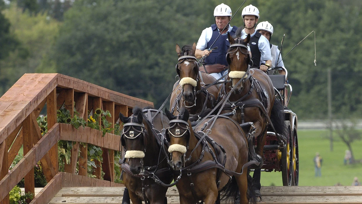Alles außer Fußball-WM: Süße Träume vom Sportsommer 2026
