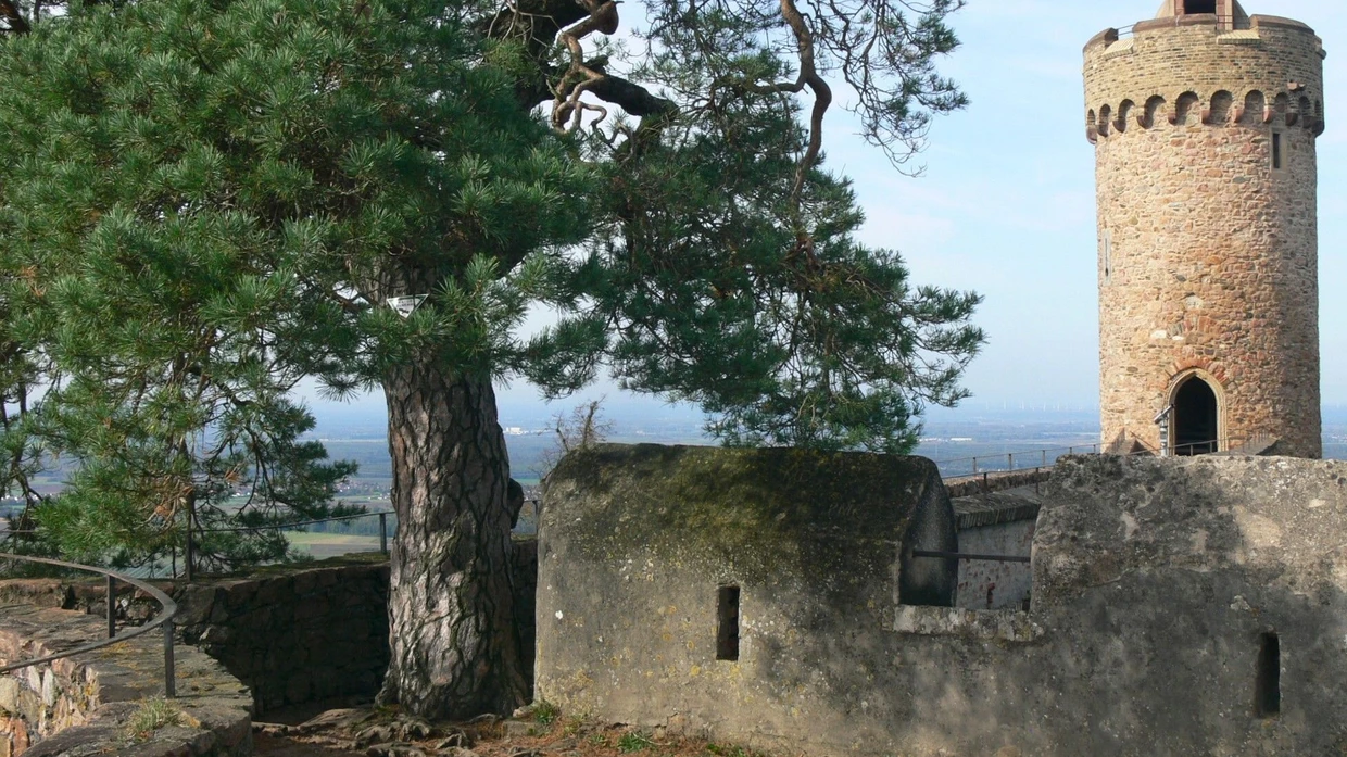 4520266393084276500allevon Burg Zu Burg Wandertipp Magazinhtml