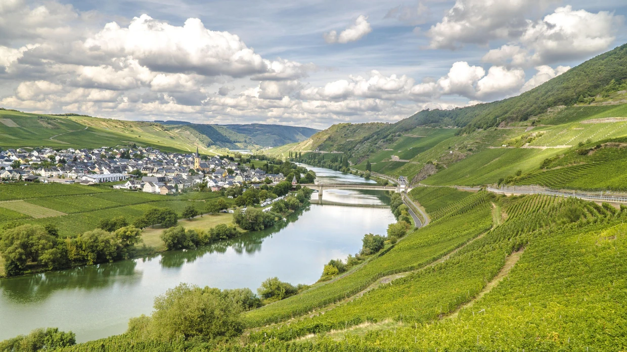Welcher Wein von der Mosel sich besonders lohnt | FAZ