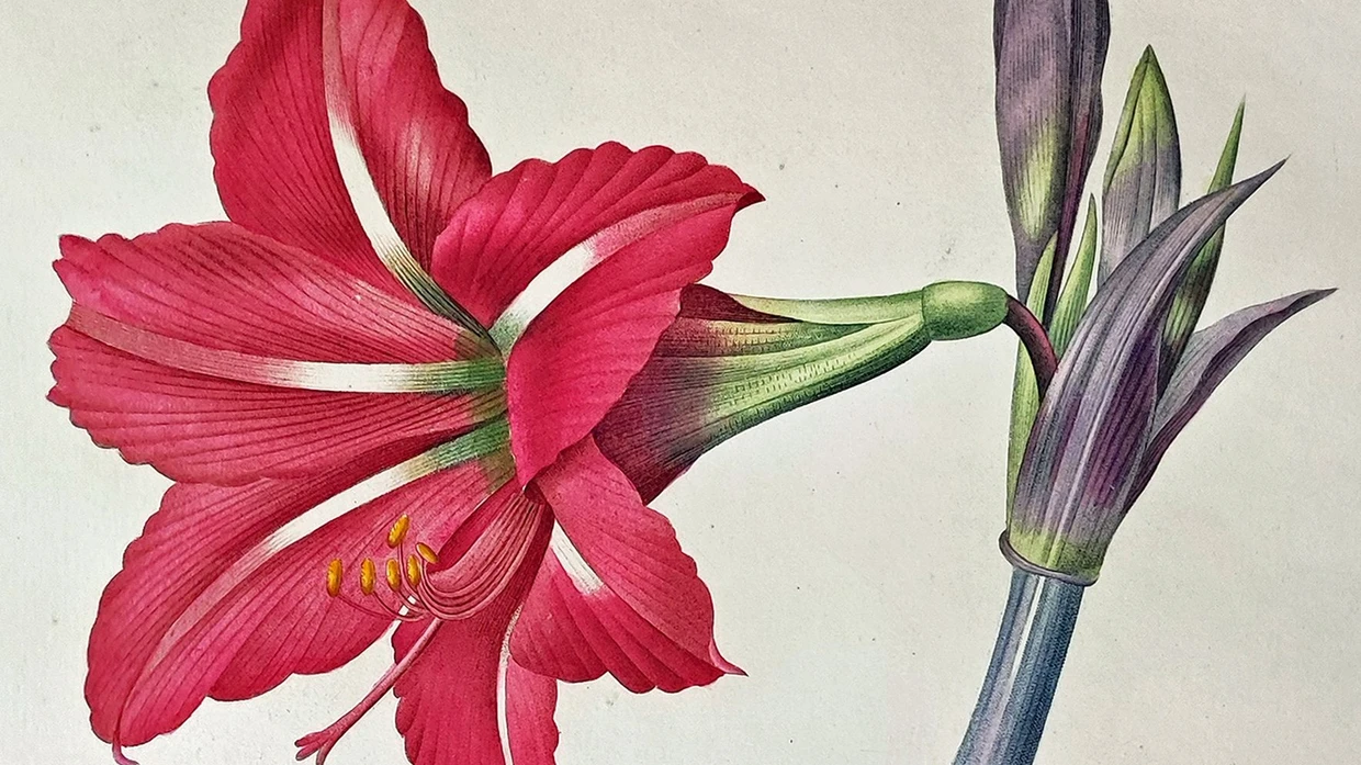 Haben Antiquariatsmessen noch eine Zukunft? | FAZ