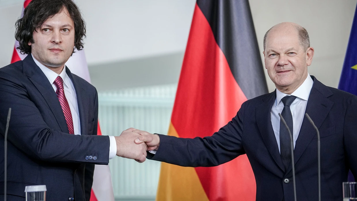 Georgien: Wie die deutschen Doktoren die Demokratie zerstören | FAZ