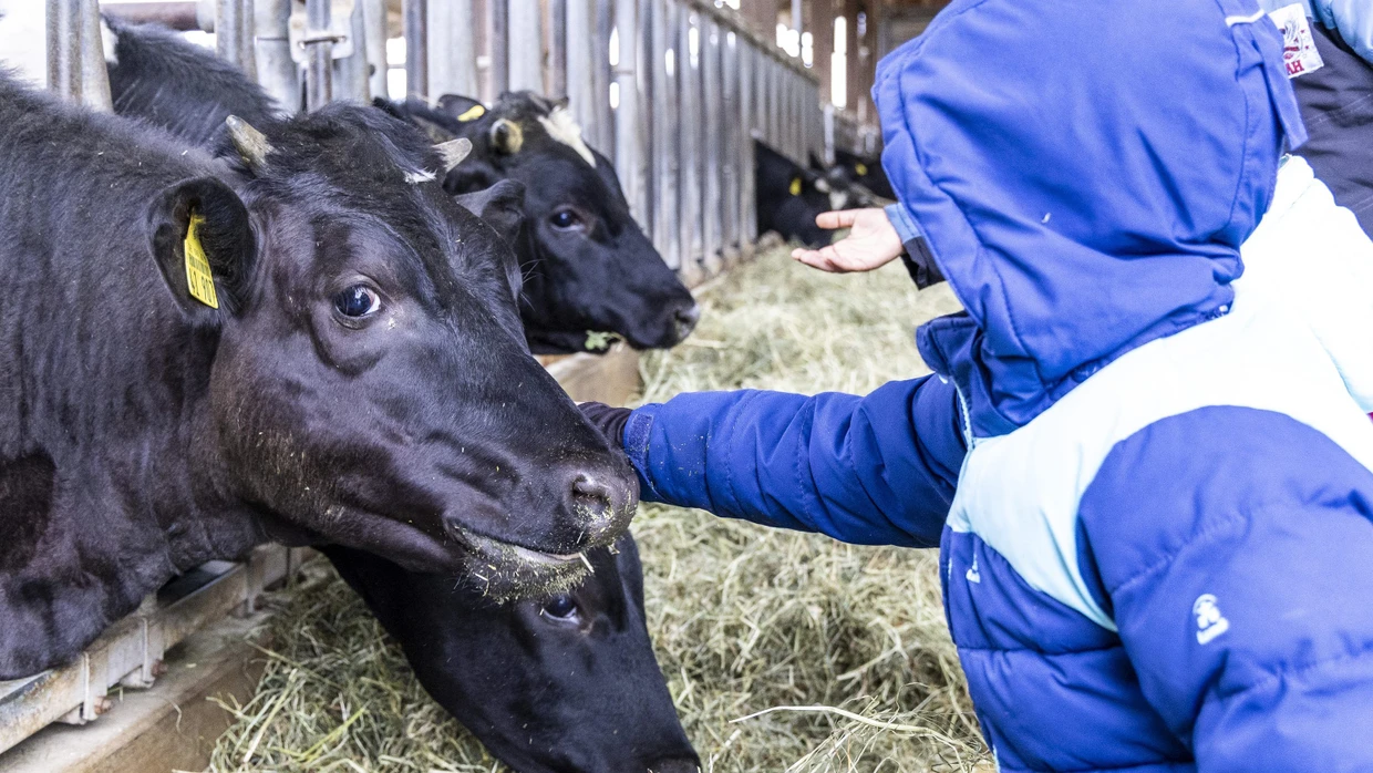 Hofgut Oberfeld in Darmstadt: Landwirtschaft für Kinder | FAZ