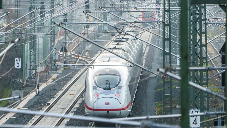 Frankfurt-Bonames: Ein erster Biber nagt an Nidda-Weiden | FAZ