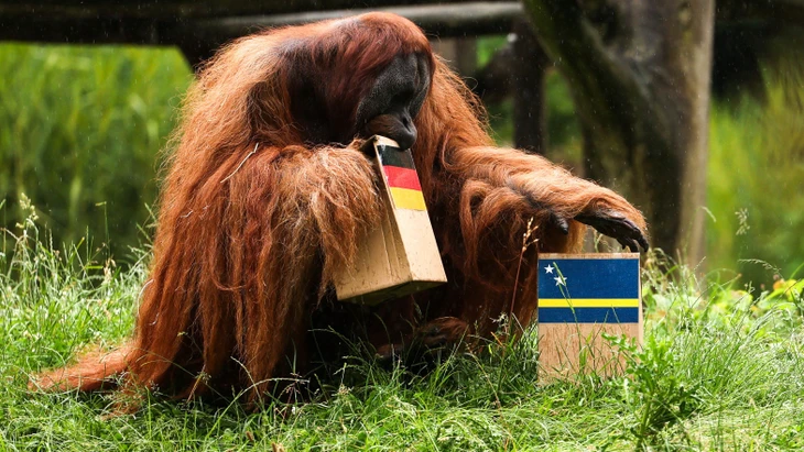 Prognose zur Fußball-WM 2026: Drei Teams ragen heraus – Deutschland ist ...