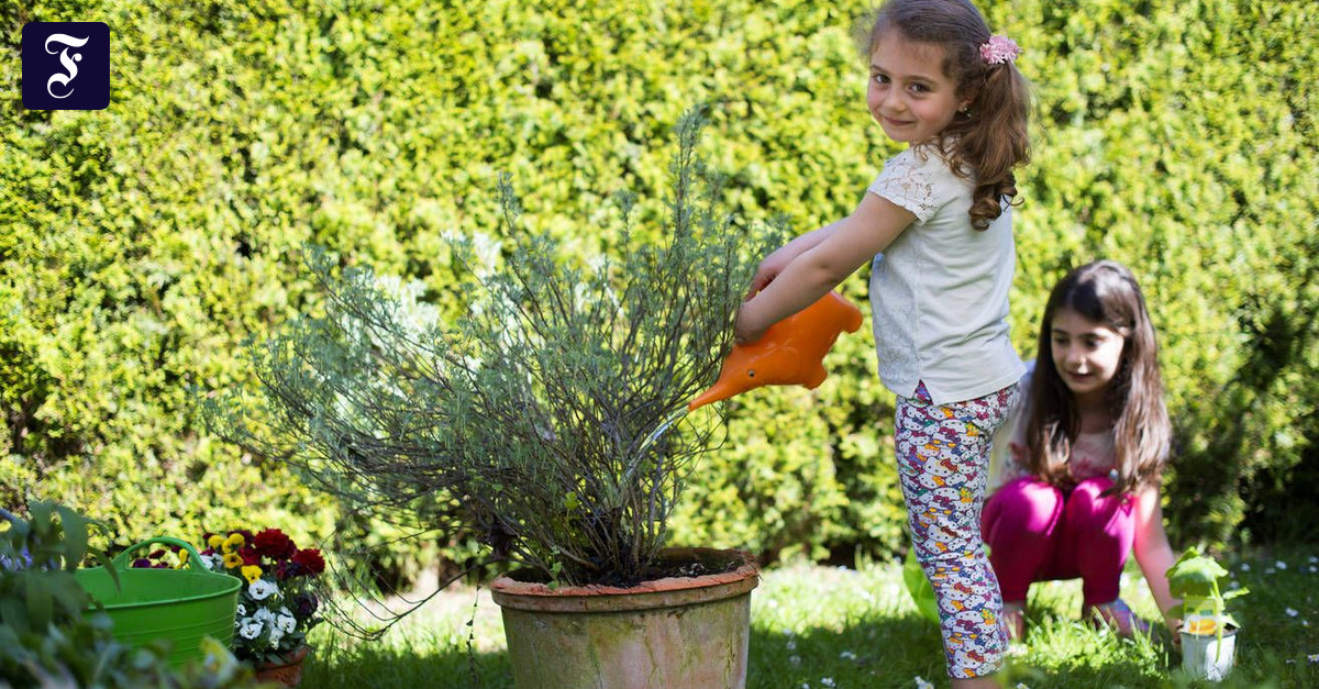 Arbeit im Garten mit Kindern – so gelingt es!