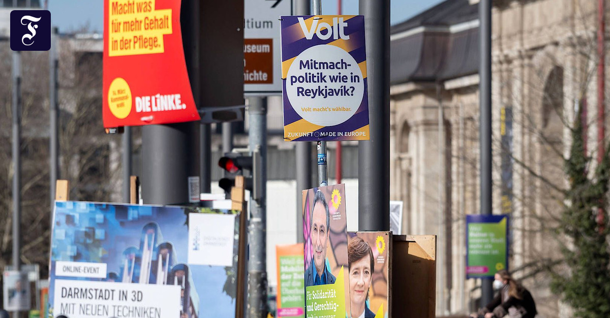 Erfolg der Volt-Partei: Der grüne Zeitgeist schimmert lila