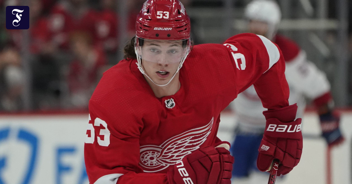 Eishockey: Moritz Seider und Thomas Greiss in NHL stark