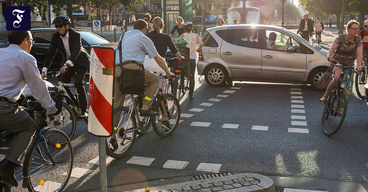 Stickoxide in der Stadt: Meinung eines Wiesbadener Facharztes