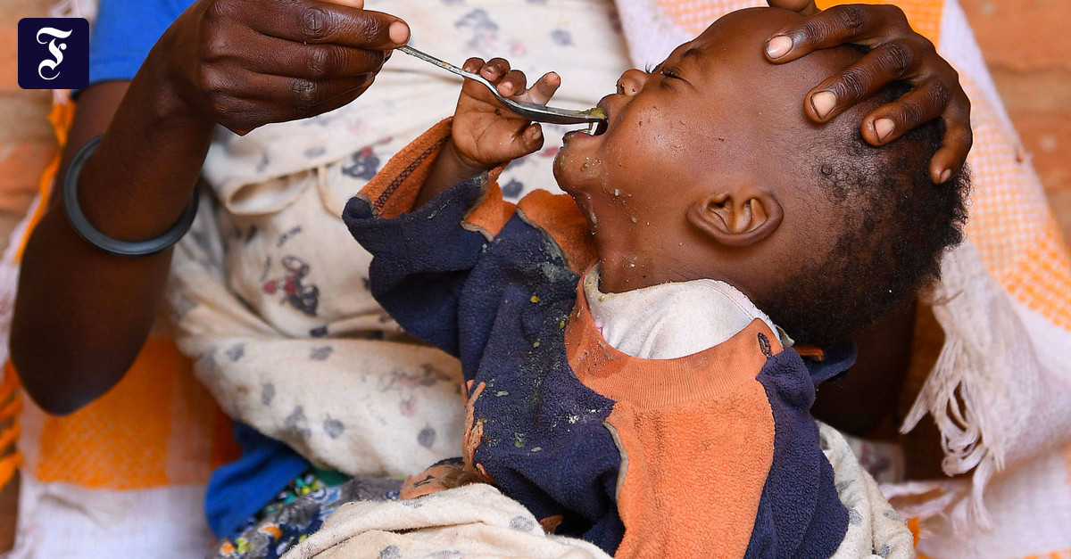Mehr als 800 Millionen Menschen leiden Hunger