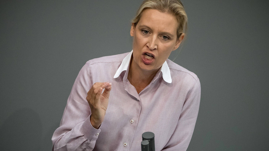 Alice Weidel: News der FAZ zur AfD-Spitzenkandidatin