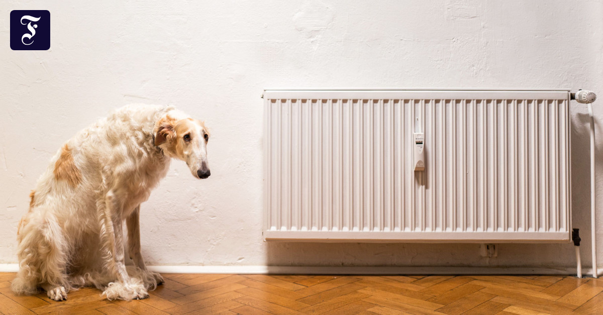 Verbot von Öl- und Gasheizung: Das sollten Verbraucher wissen
