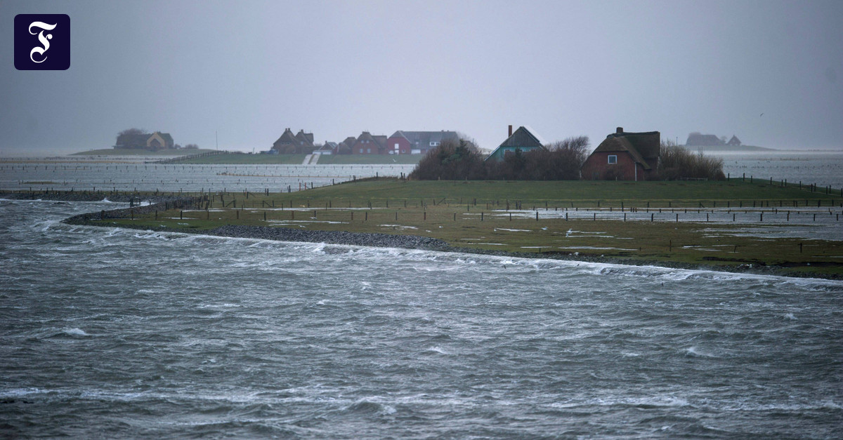 Sturmflut an der Nordsee: Abwarten auf Hallig Hooge