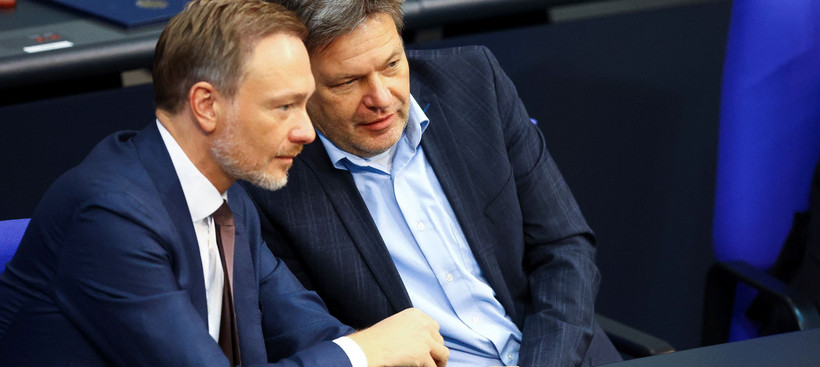 Frankfurt-Bonames: Ein erster Biber nagt an Nidda-Weiden - Rhein-Main - FAZ