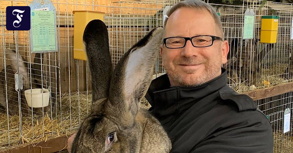 Hamburger SPD-Politiker Johannes Kahrs im Gespräch über Riesenrammler