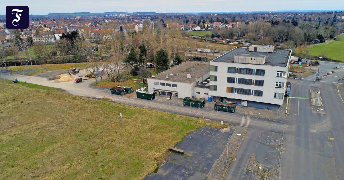 Bio-Tech-Shootingstar Biospring expandiert in Offenbach