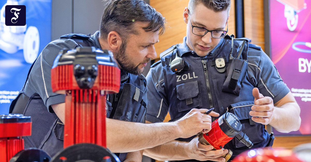 Zoll Plagiate Eigenbedarf 2023