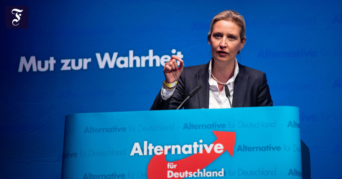 Baden-Württemberg: Weidel zur neuen AfD-Landesvorsitzenden gewählt